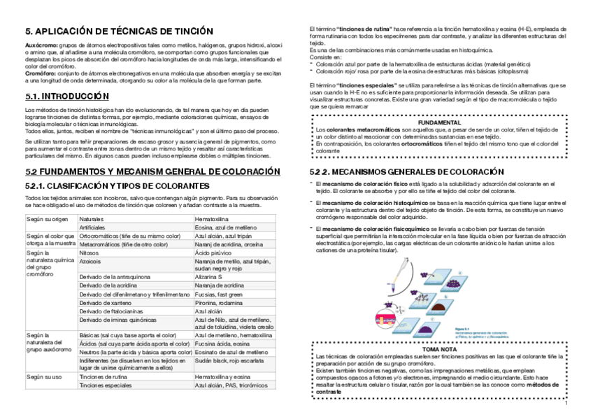 TEMA-5-PCT.pdf
