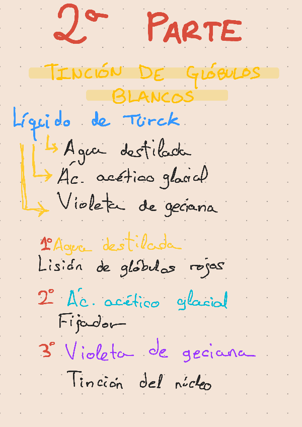 Practica-2-Globulos-Blancos.pdf
