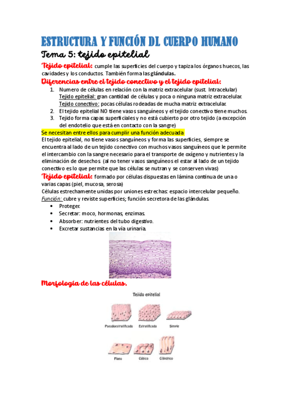 tema-5-estructura-y-funcion.pdf