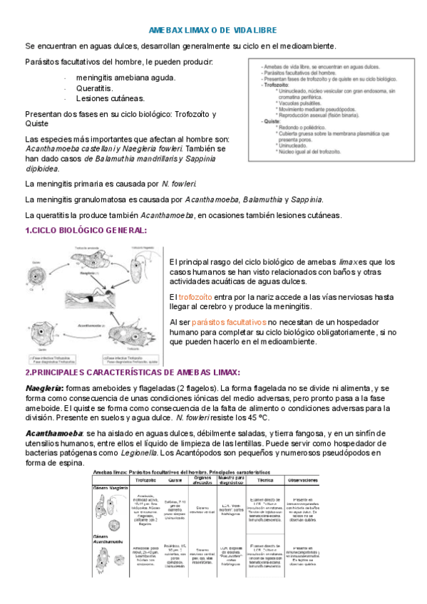 PARASITOLOGIA-5C-AMEBAS-LIMAX.pdf