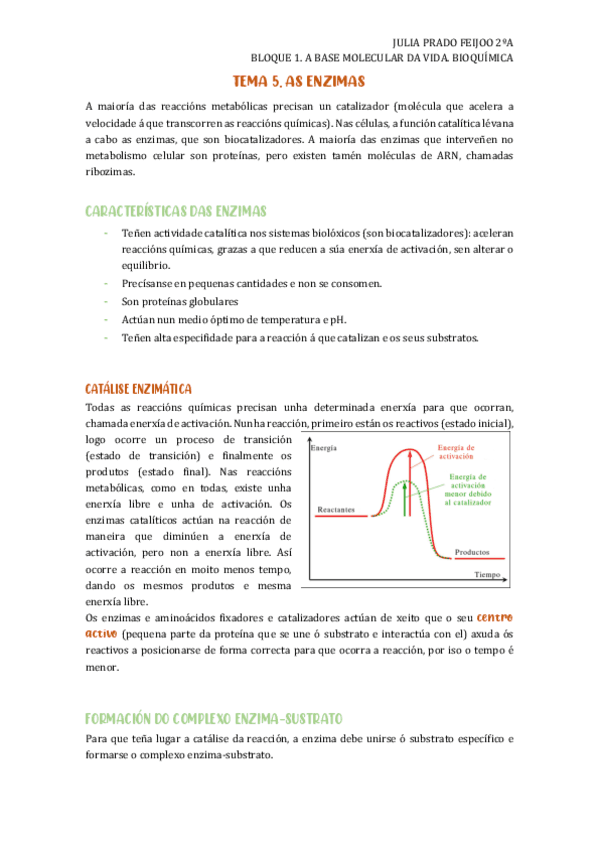 TEMA-5.-AS-ENZIMAS.pdf