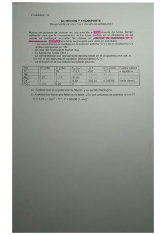 Ejercicio12.pdf