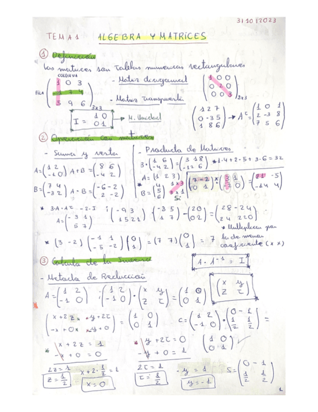 Tema-1-algebra-y-matrices.pdf
