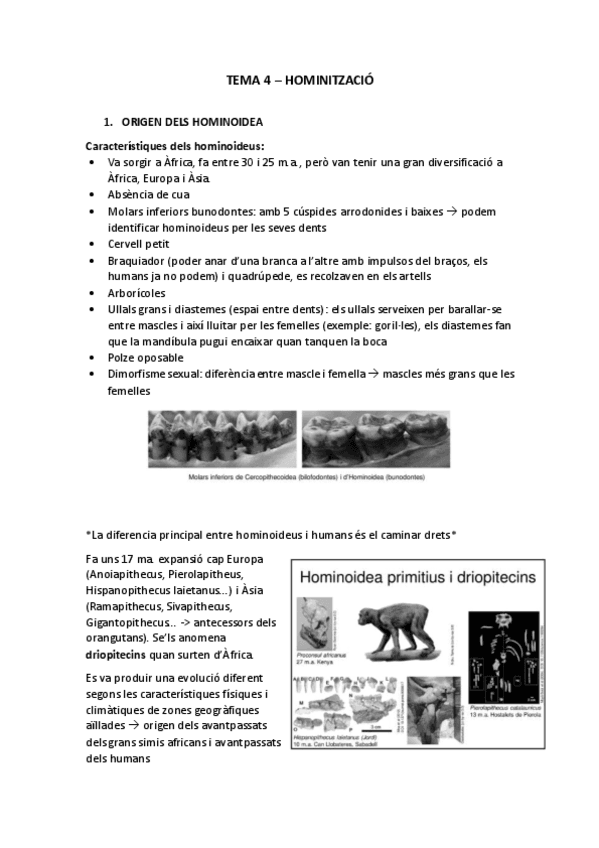 TEMA 4 (eto).pdf