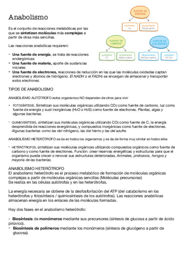 Bloque-3-Metabolismo-celular-anabolismo.pdf