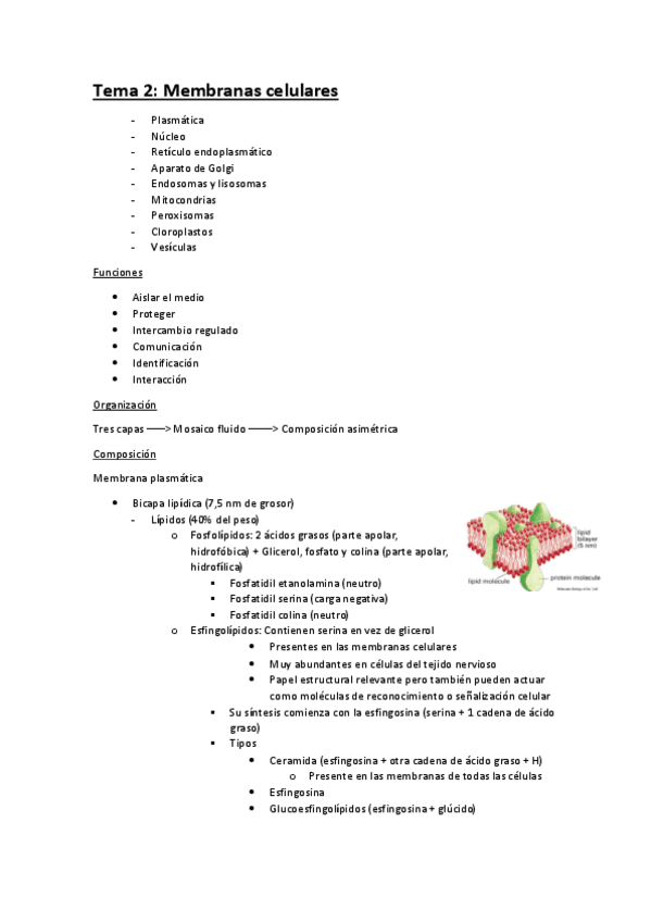 02-Membranas-celulares.pdf