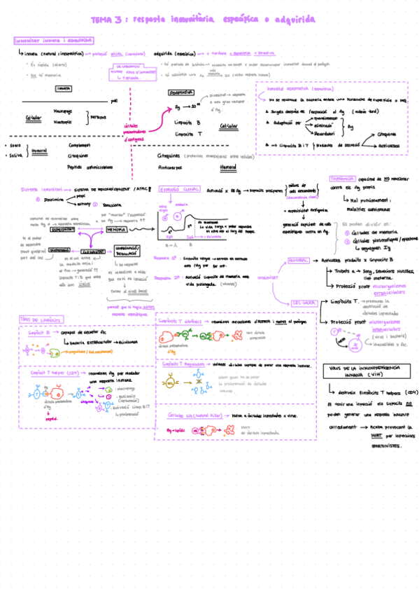 Tema-3-Inmunitat-innata-i-adquirida-esquema.pdf