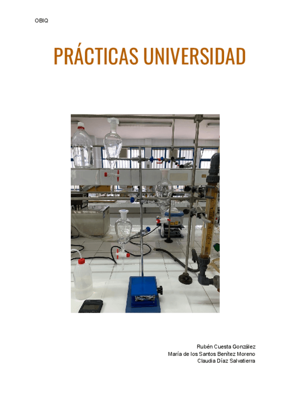Informe Practicas Universidad Pdf