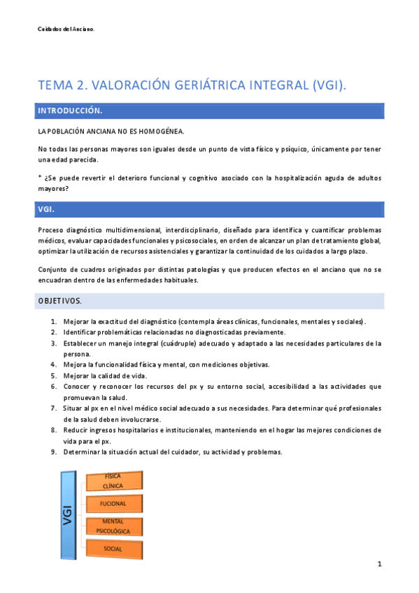 TEMA-2.-VGI.pdf