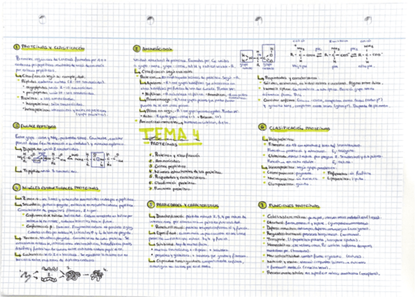 ESQUEMA-BIOLOGIA-T4-PROTEINAS.pdf
