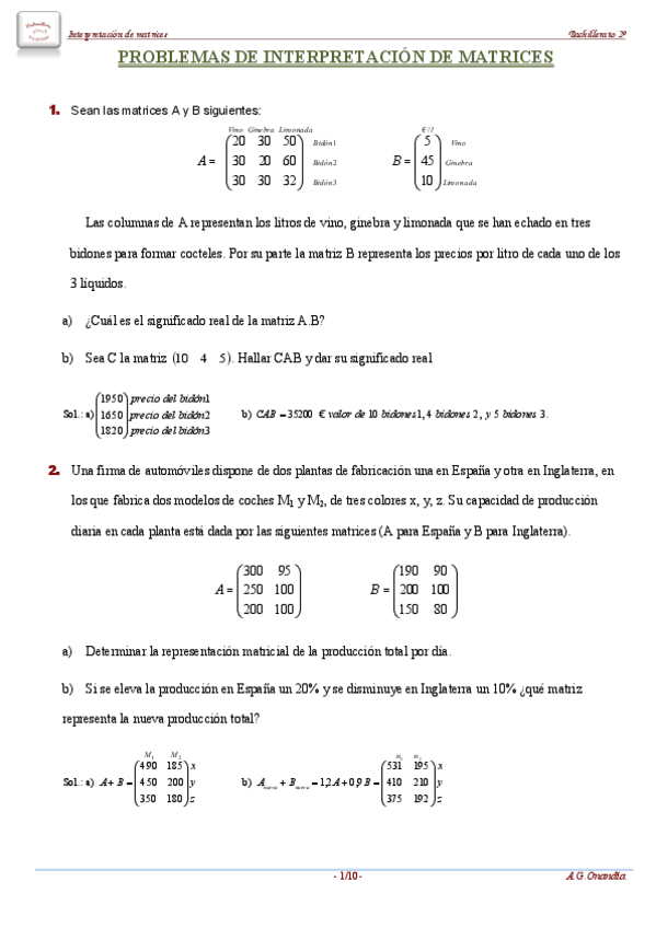 3-Problemas-de-interpretacion-de-matrices.pdf