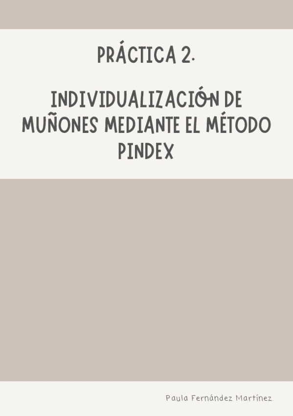 METODO-PINDEX.pdf