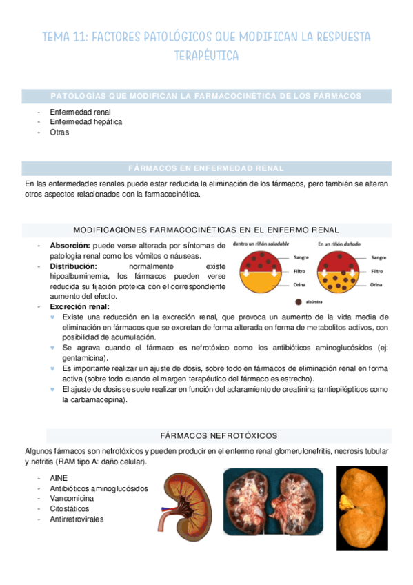 T11-Factores-patologicos-que-modifican-la-respuesta-terapeutica.pdf