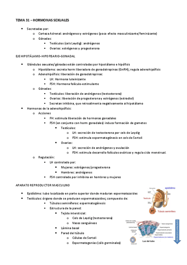 TEMA-31.-FH.pdf