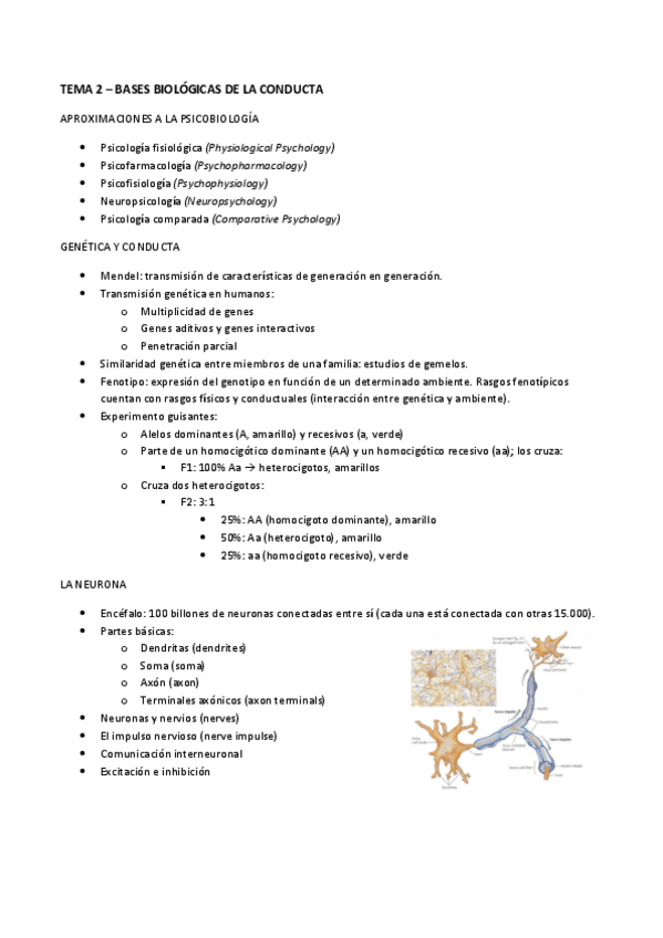 IP.TEMA-2.pdf