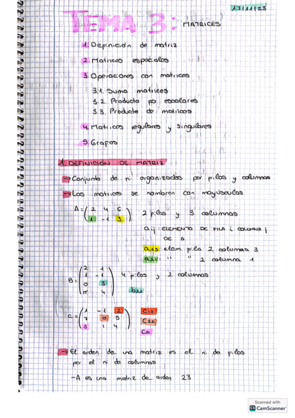 TEMA-3-MATRICES.pdf