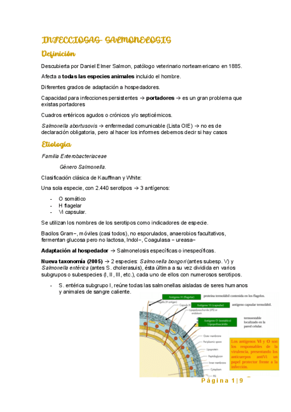 Salmonelosis.pdf