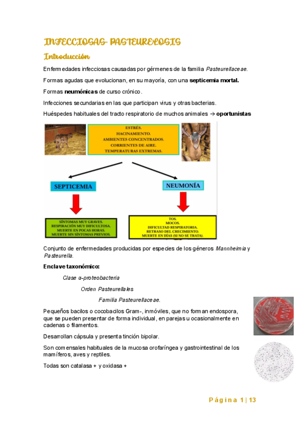 Pasteurelosis.pdf