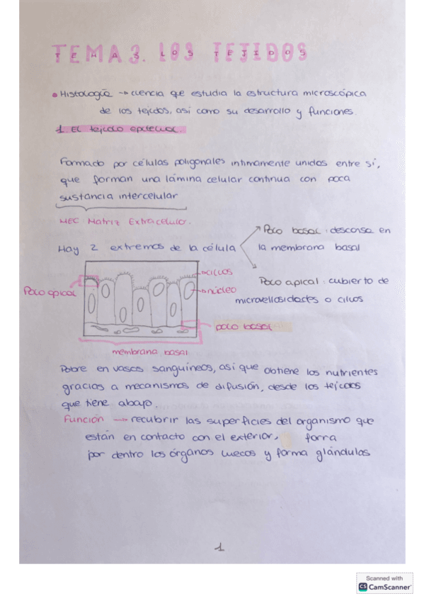 Tema-3-fisiopatologia-los-tejidos.pdf