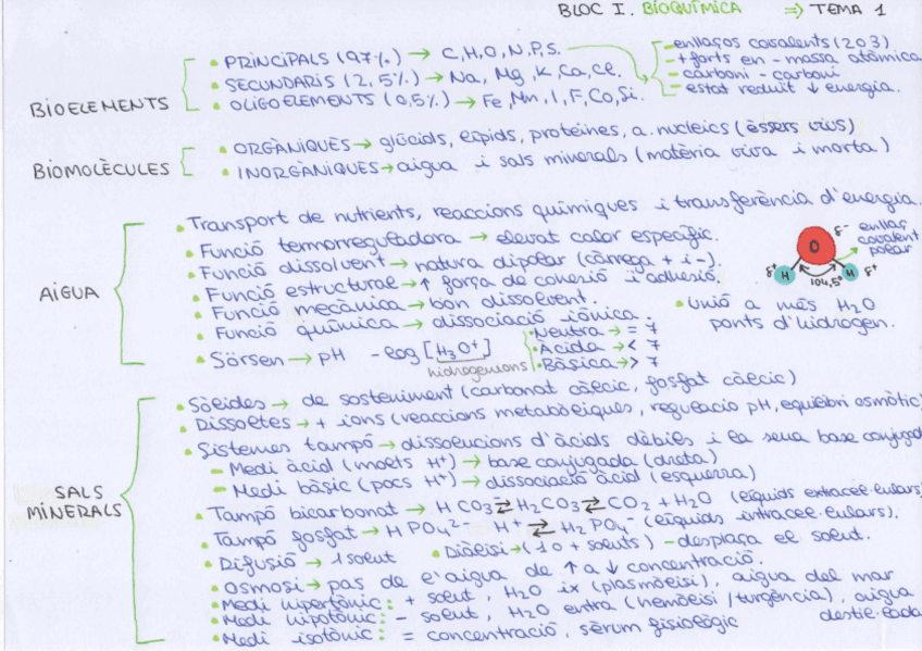 Esquema-T1-Bio-2n-Batx.pdf