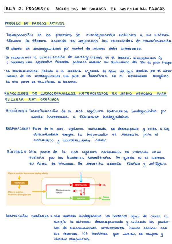 Tema-2-Procesos-biologicos-de-biomasa-en-suspension.-Fangos-activos.pdf