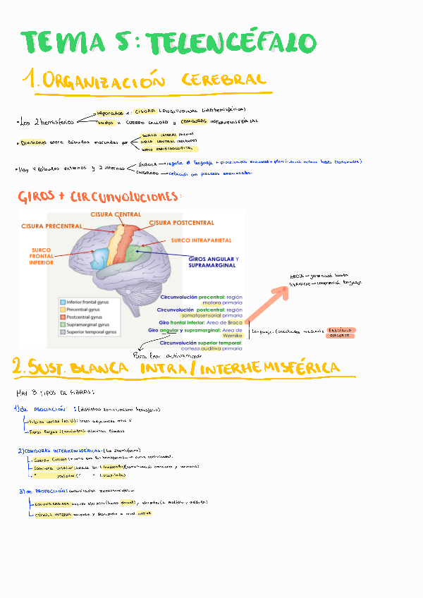 Neuro-II-T5Esquema.pdf