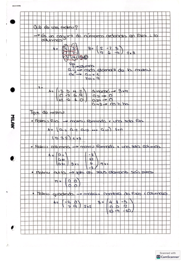 Tema-1-matrius-ccss.pdf