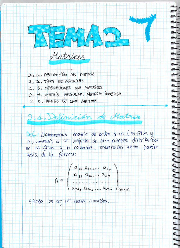 TEMA-2-MATRICES.pdf