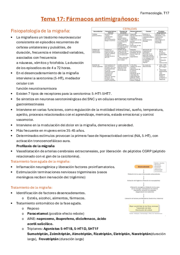 Farma-T17.pdf