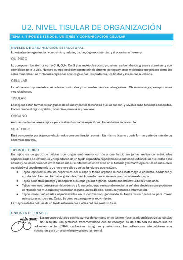 U2.-NIVEL-TISULAR-DE-ORGANIZACION.pdf