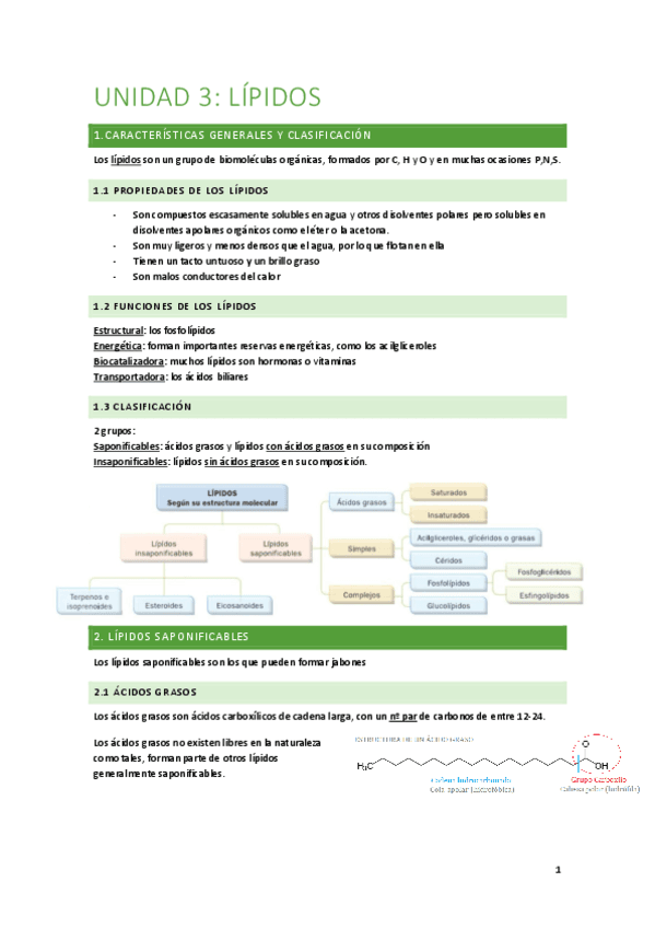 Lipidos.pdf