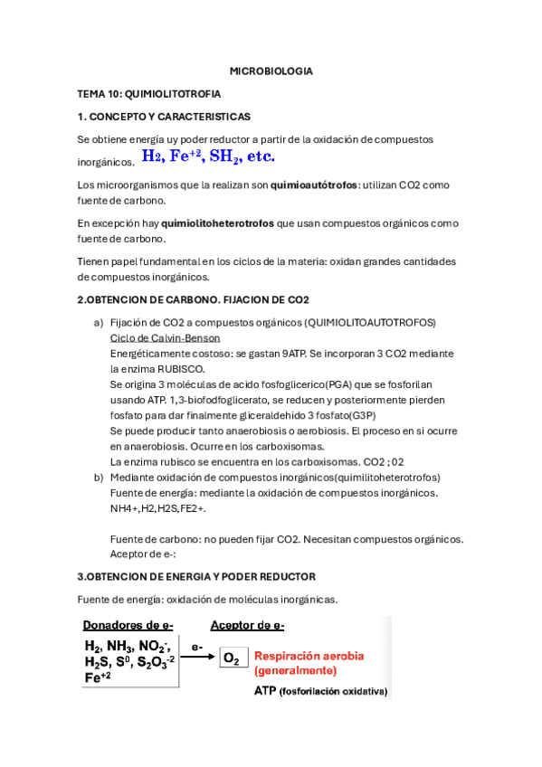 TEMA-10-MICRO.pdf