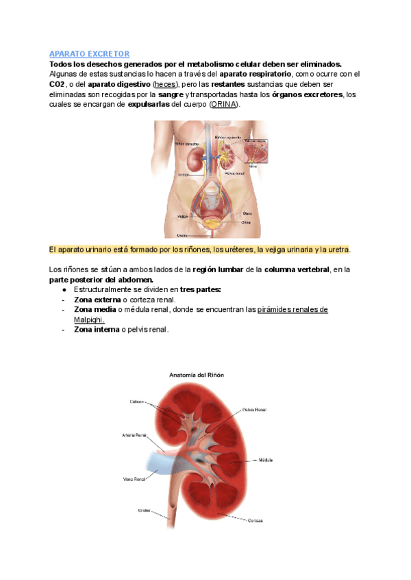 Tema-1-parte-2-FG.pdf