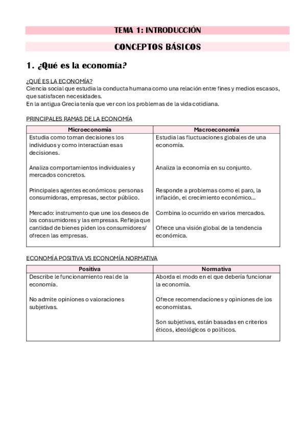TEMA-1-ECONO.pdf
