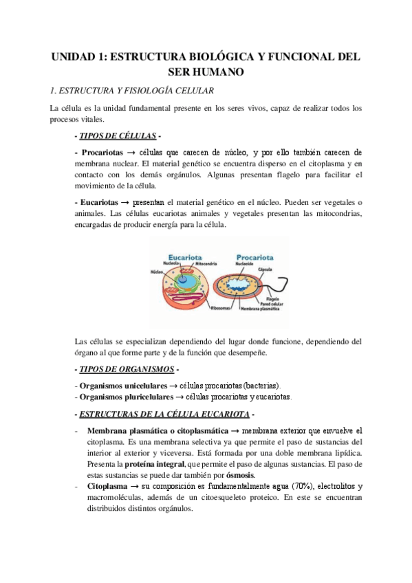 UNIDAD-1-ESTRUCTURA-BIOLOGICA-Y-FUNCIONAL-DEL-SER-HUMANO.pdf