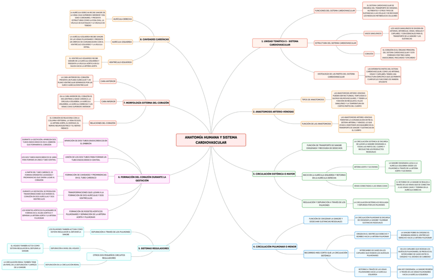 ESQUEMA-TEMA-V-comprimido.pdf