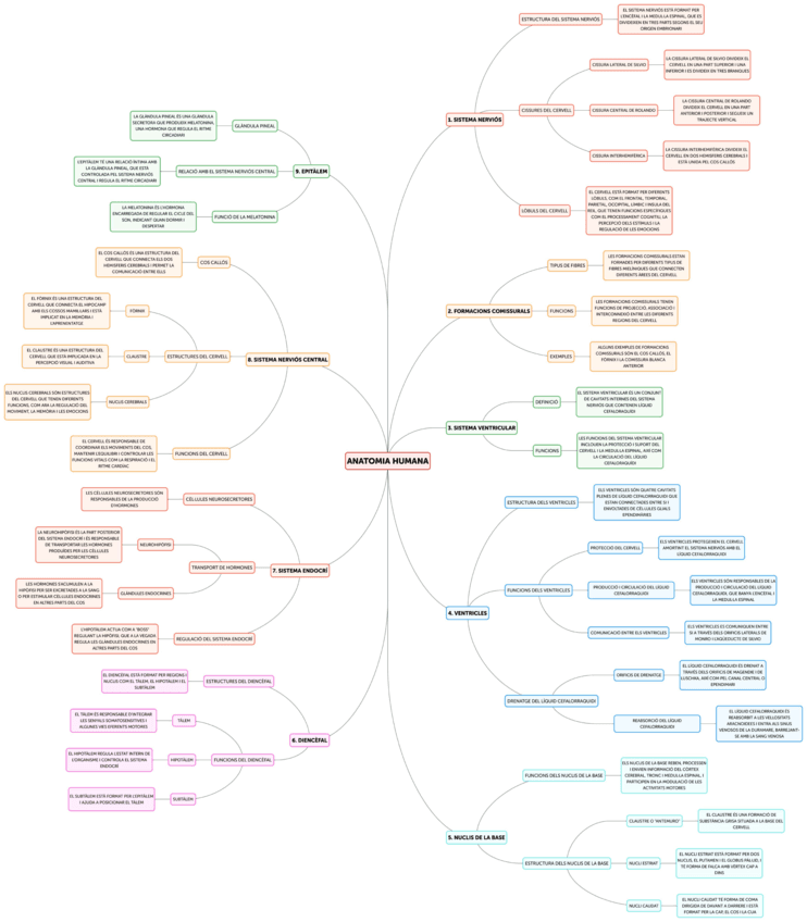 ESQUEMA-TEMA-IV-comprimido.pdf