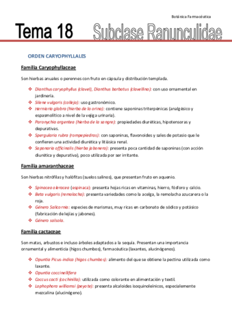 Tema 18.pdf