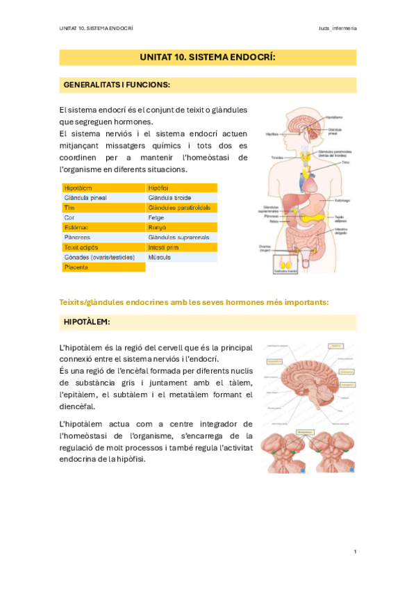 ANATOMIA-UNITAT-10.-SISTEMA-ENDOCRI.pdf