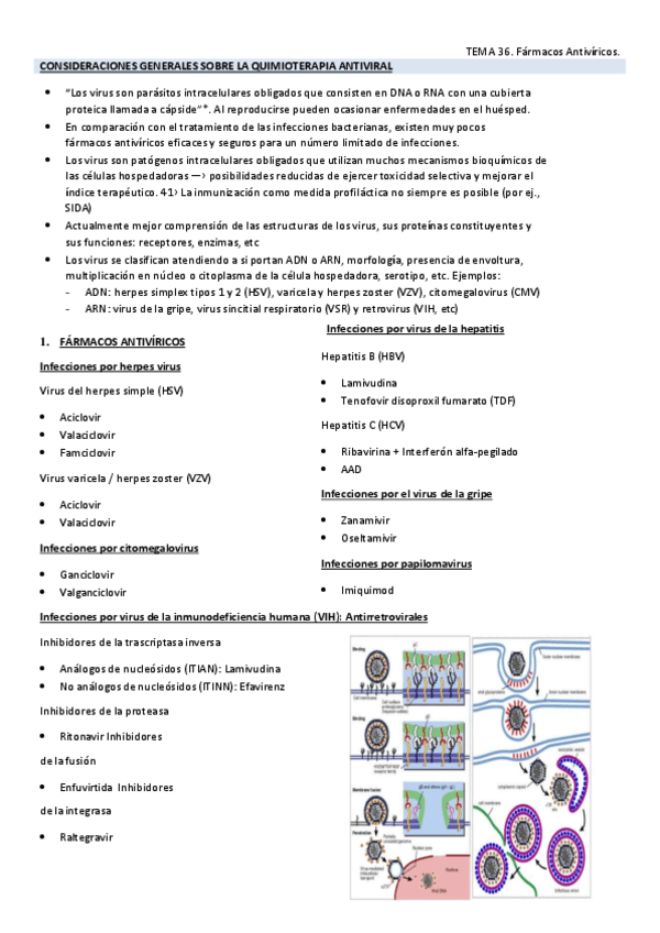 Tema-36-completo.pdf