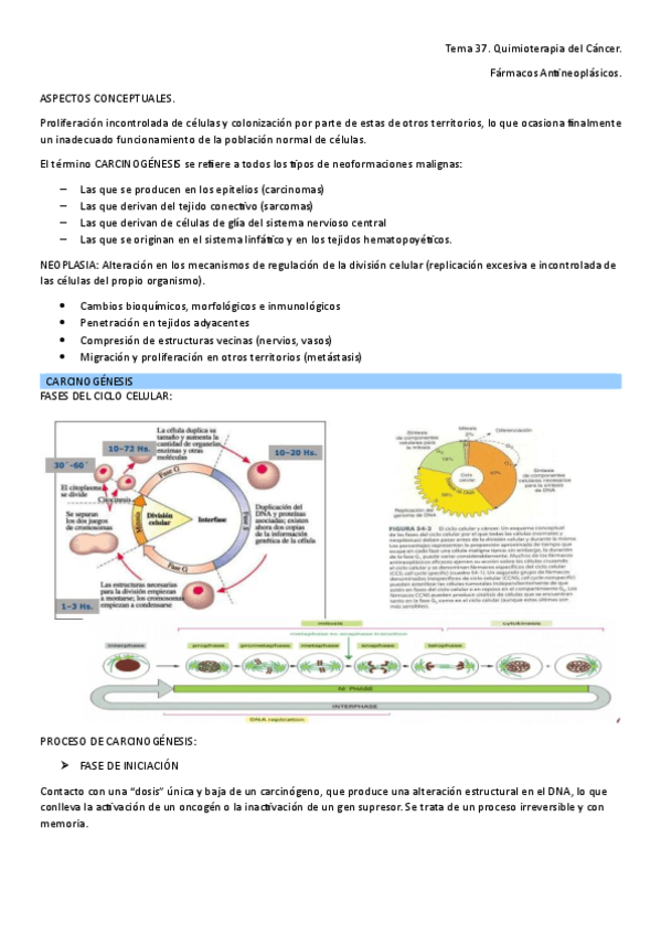 Tema-37-completo.pdf