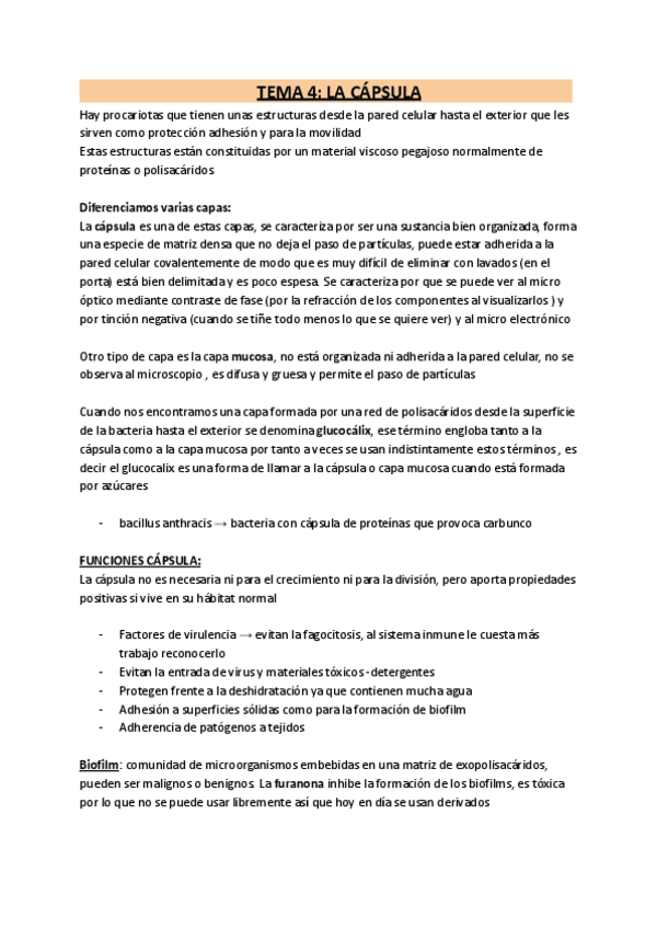 TEMA-4-LA CAPSULA.pdf
