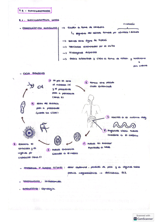 Esquema-T8.pdf