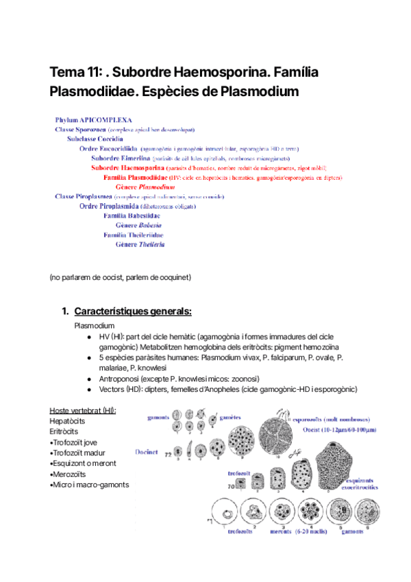 Tema-11-Subordre-Haemosporina.-Familia-Plasmodiidae.-Especies-de ...