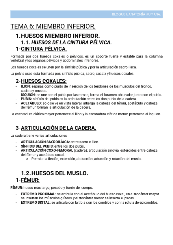 RESUMEN-ANATOMIA-T6-T7-T8-y-T9.pdf