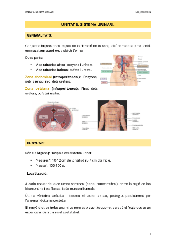ANATOMIA-UNITAT-8.-SISTEMA-URINARI.pdf