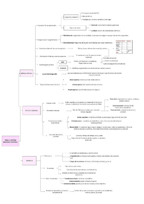 esquema t4 (part 1).pdf