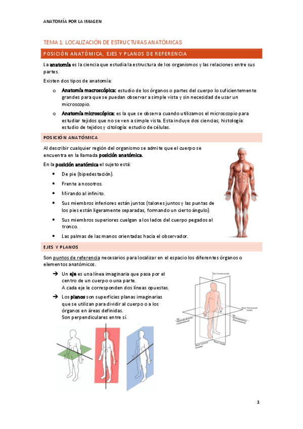 tema-1-localizacion-de-estructuras-anatomicas.pdf