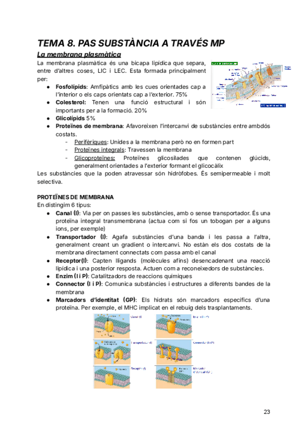 Bloc-IV-temes-8-a-12.pdf