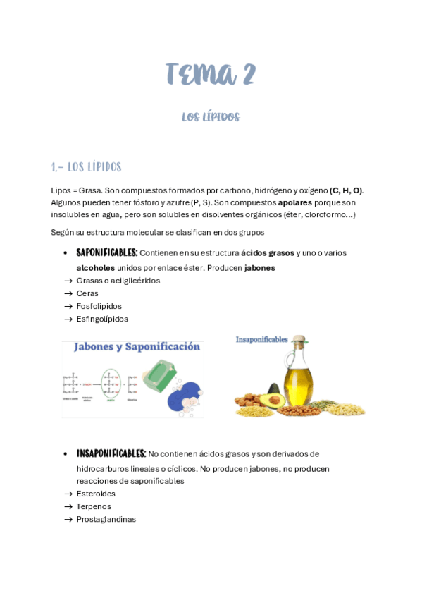 LOS-LIPIDOS-BIOQUIMICA.pdf